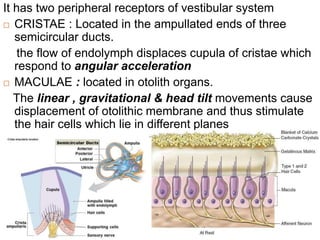 Assesment of vestibular function | PPTX