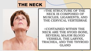 HEAD-AND-NECK-BSN-HEALTH-ASSESSMENT.pptx
