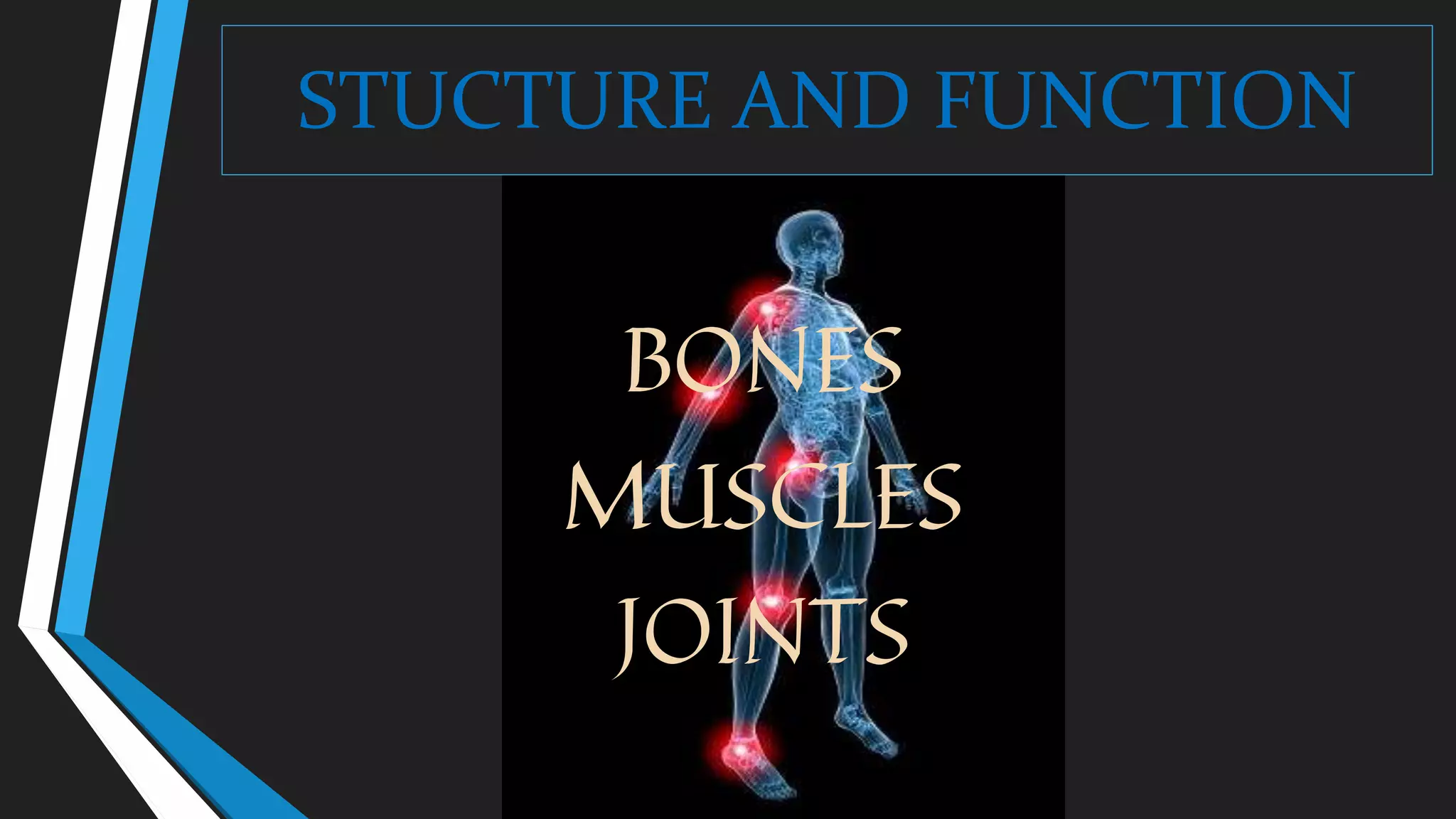 ASSESSING-MUSCULOSKELETAL-SYSTEM.pptx