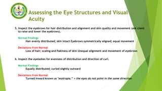 Assessing-the-Eye-Structures-and-Visual-Acuity.pptx