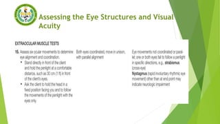 Assessing-the-Eye-Structures-and-Visual-Acuity.pptx