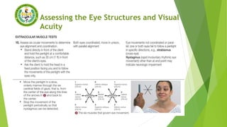 Assessing-the-Eye-Structures-and-Visual-Acuity.pptx