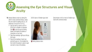 Assessing-the-Eye-Structures-and-Visual-Acuity.pptx