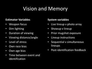 Assessing eyewitness identification | PPTX
