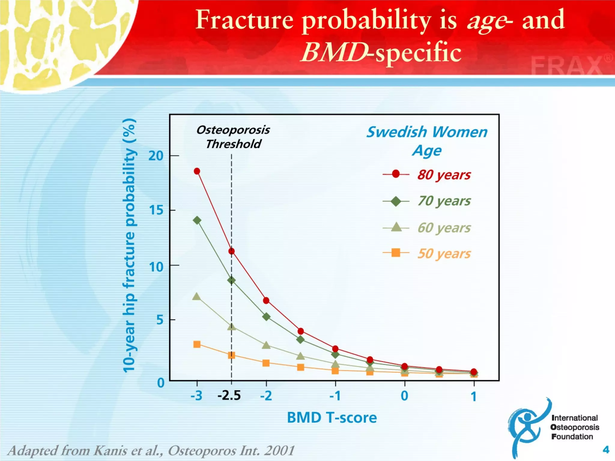 Assessing Fracture Risk | PPT