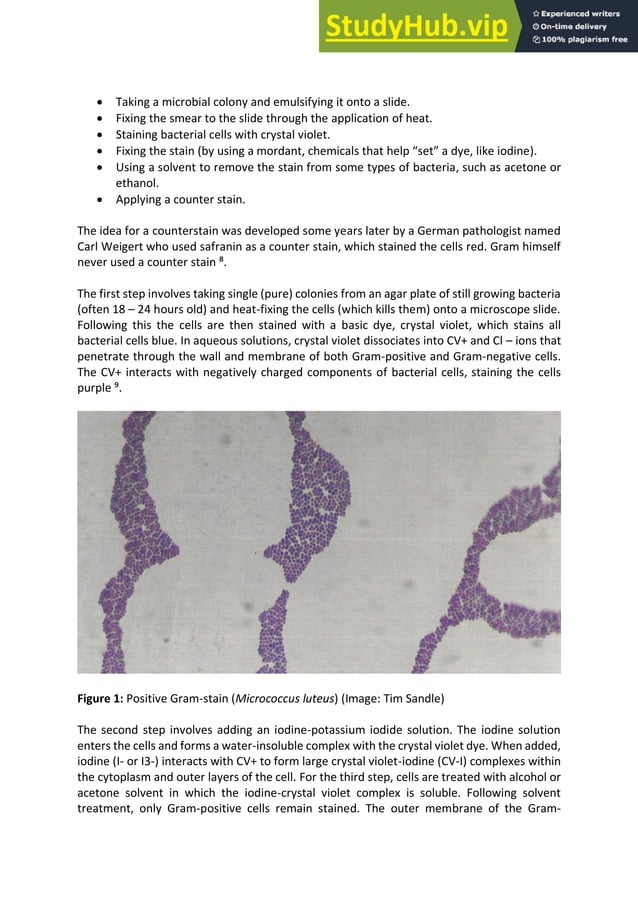 Assessing Gram-Stain Error Rates Within The Pharmaceutical Microbiology ...