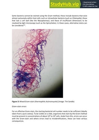 Assessing Gram-Stain Error Rates Within The Pharmaceutical Microbiology ...