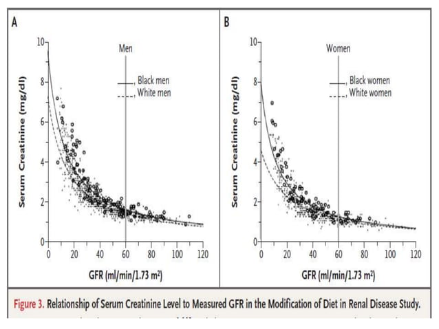 Assessing kidney function — measured | PPT