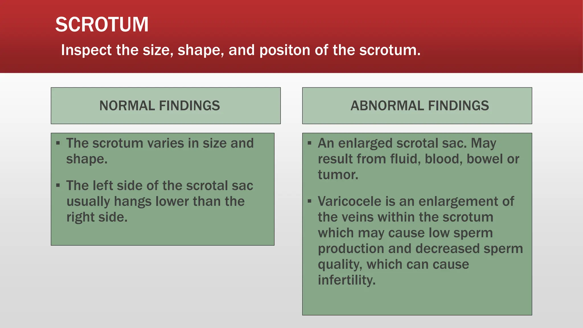 Assessing Male Genitalia and Rectum.pptx