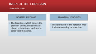 Assessing Male Genitalia and Rectum.pptx