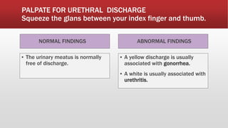 Assessing Male Genitalia and Rectum.pptx