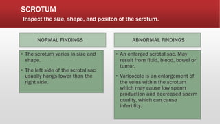 Assessing Male Genitalia and Rectum.pptx