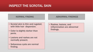 Assessing Male Genitalia and Rectum.pptx