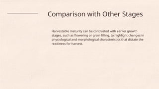 Accessing Maturity Indices agricultural.pptx