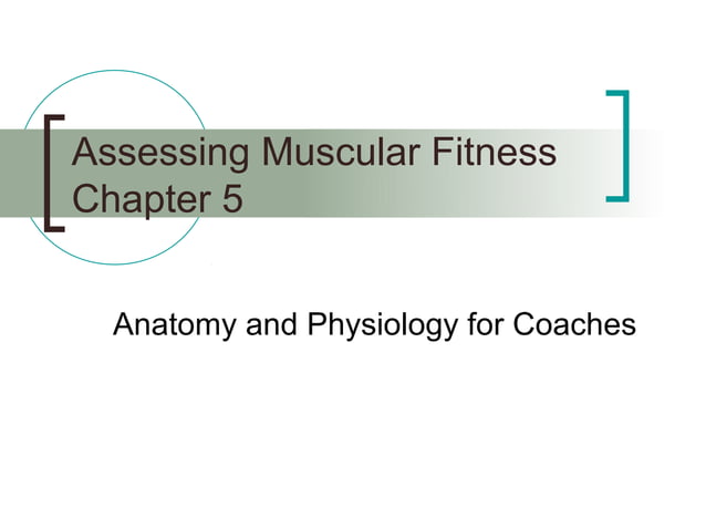 Assessing muscular fitness | PPT