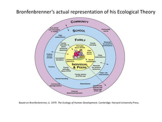 Ecological Theory Diagram