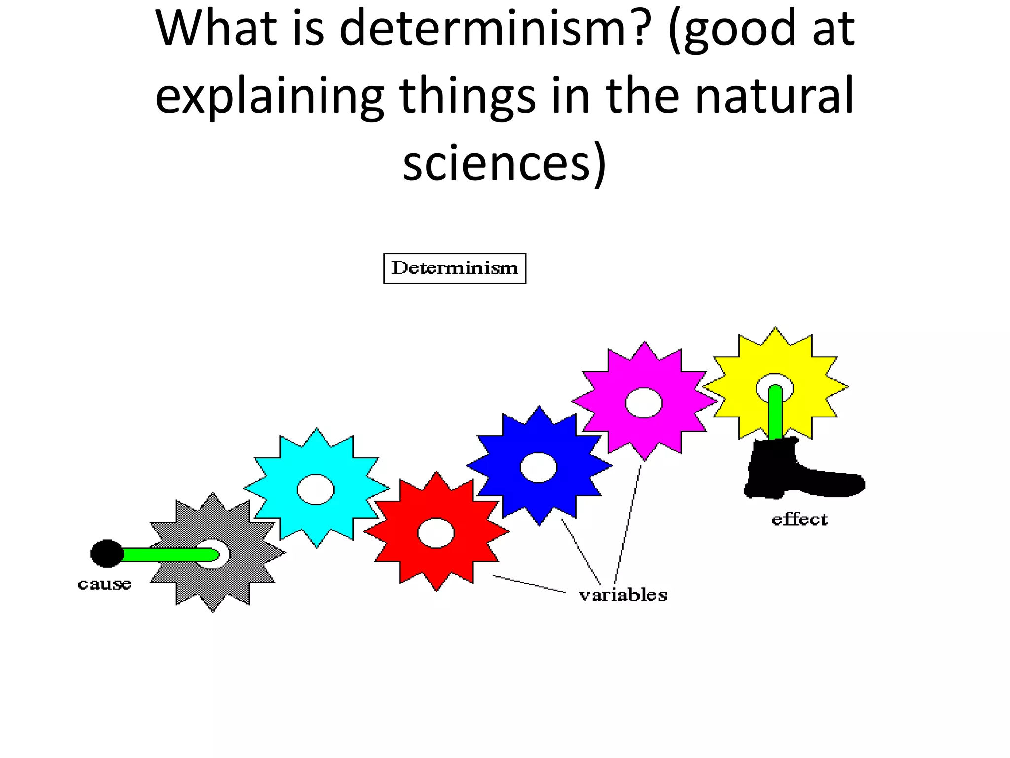 Assessing needs & risks 2 structure, determinism & ecological theory | PPTX