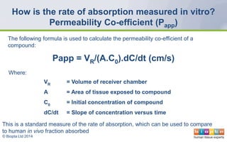 Assessing oral drug absorption and metabolism in human intestinal ...