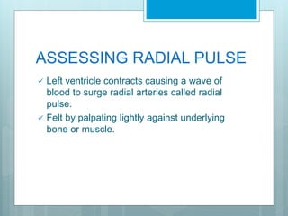 Assessing Radial Pulse | PPTX