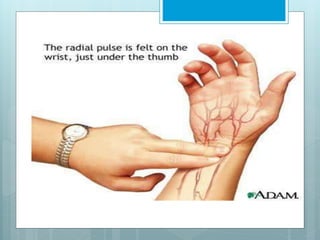 Radial Pulse