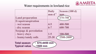 rice cultivation's sustainability | PPTX