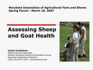 Assessing sheepgoathealth | PPT