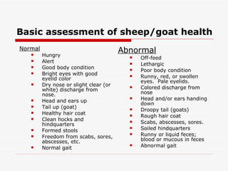 Assessing sheepgoathealth | PPT