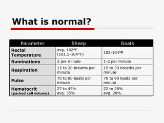 Assessing sheepgoathealth | PPT