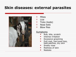 Assessing sheepgoathealth | PPT