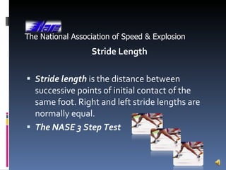 Assessing speed | PPT