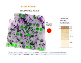 Assessing subsurface hardpan and pond formation | PDF