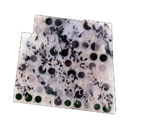 Assessing subsurface hardpan and pond formation | PDF