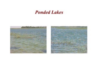 Assessing subsurface hardpan and pond formation | PDF