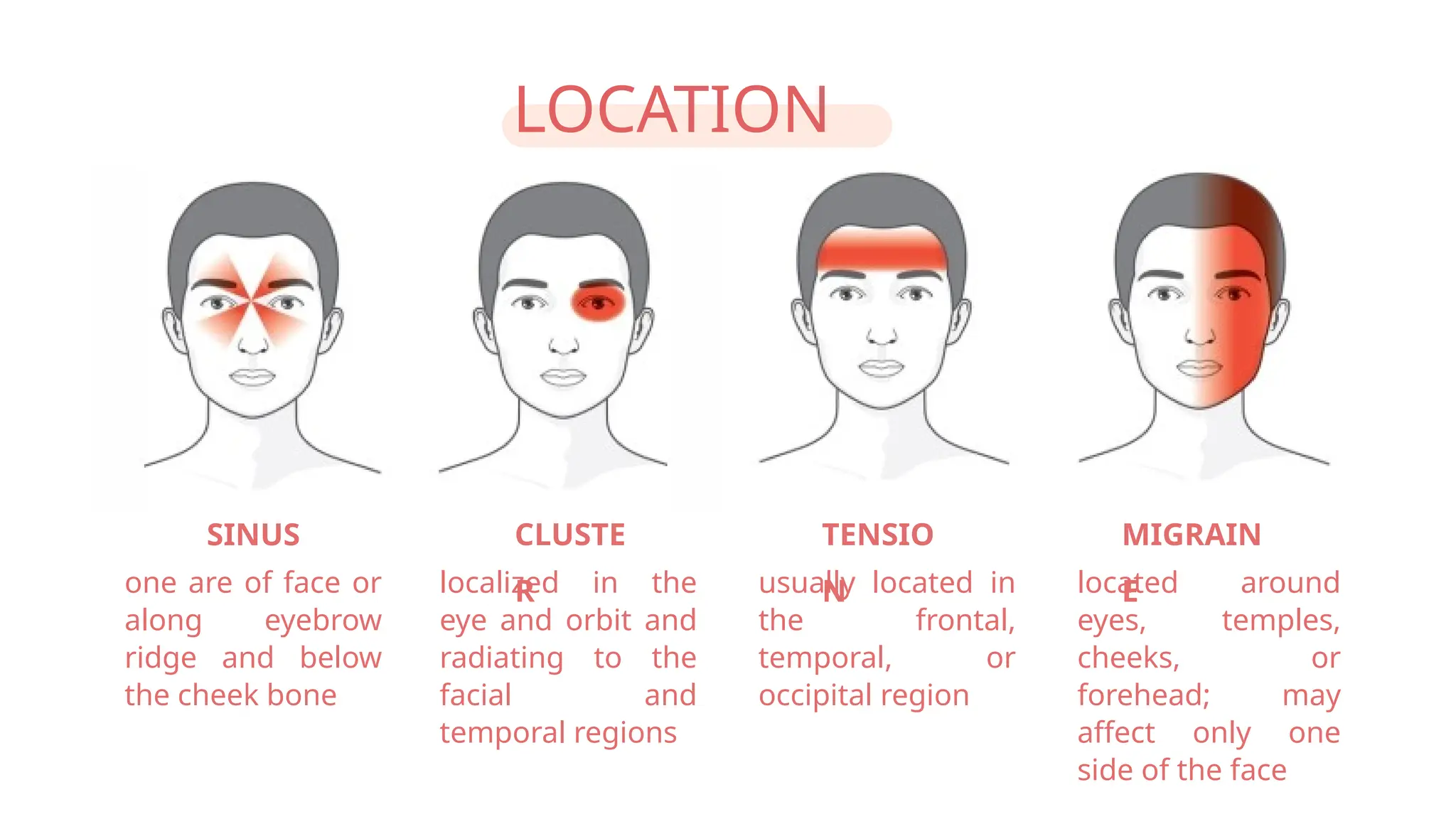 Assessing the Head inspecting and palpating the head.pptx