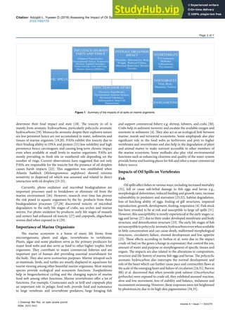 Assessing The Impact Of Oil Spills On Marine Organisms | PDF