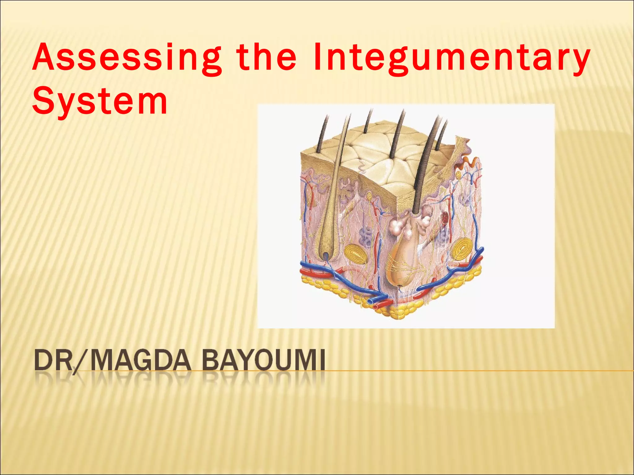 Assessing the integumentary system new | PPT
