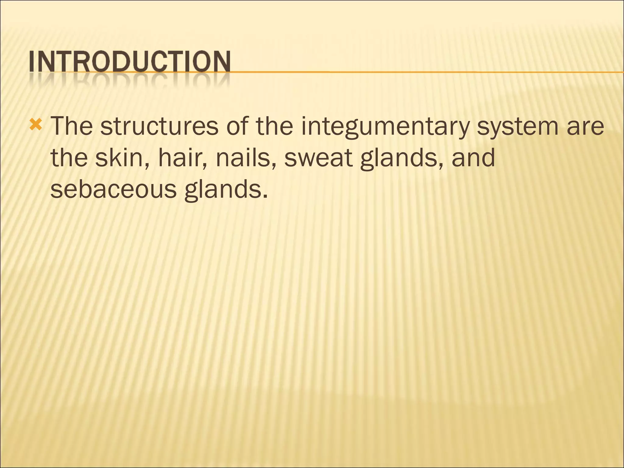 Assessing the integumentary system new | PPT