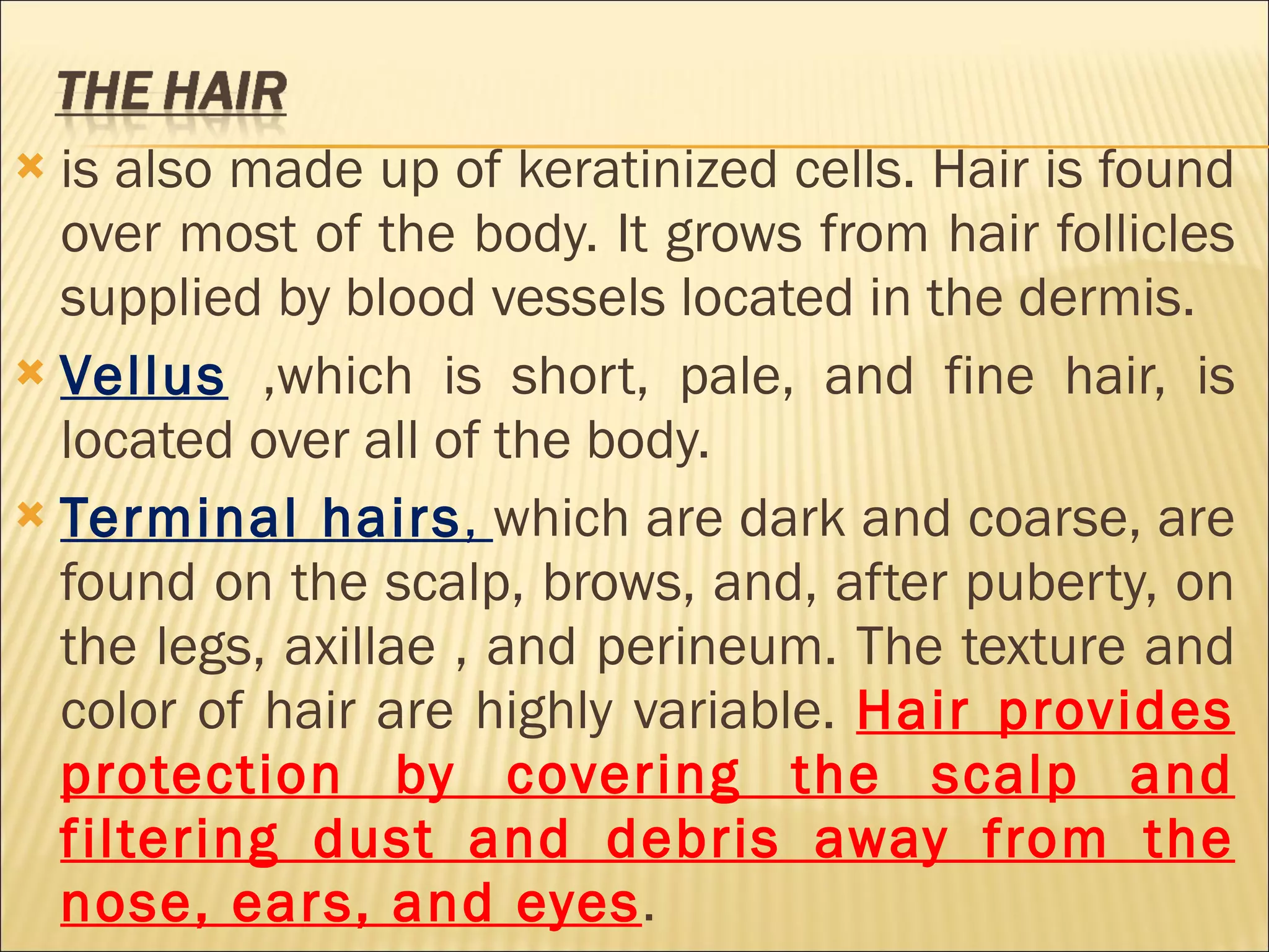 Assessing the integumentary system new | PPT