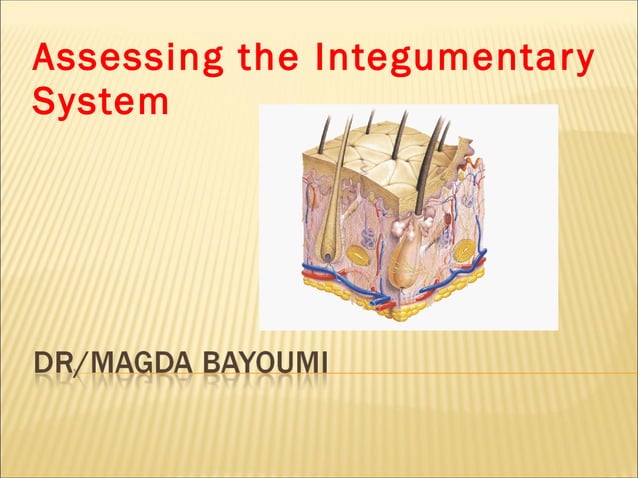 Assessing the integumentary system new | PPT
