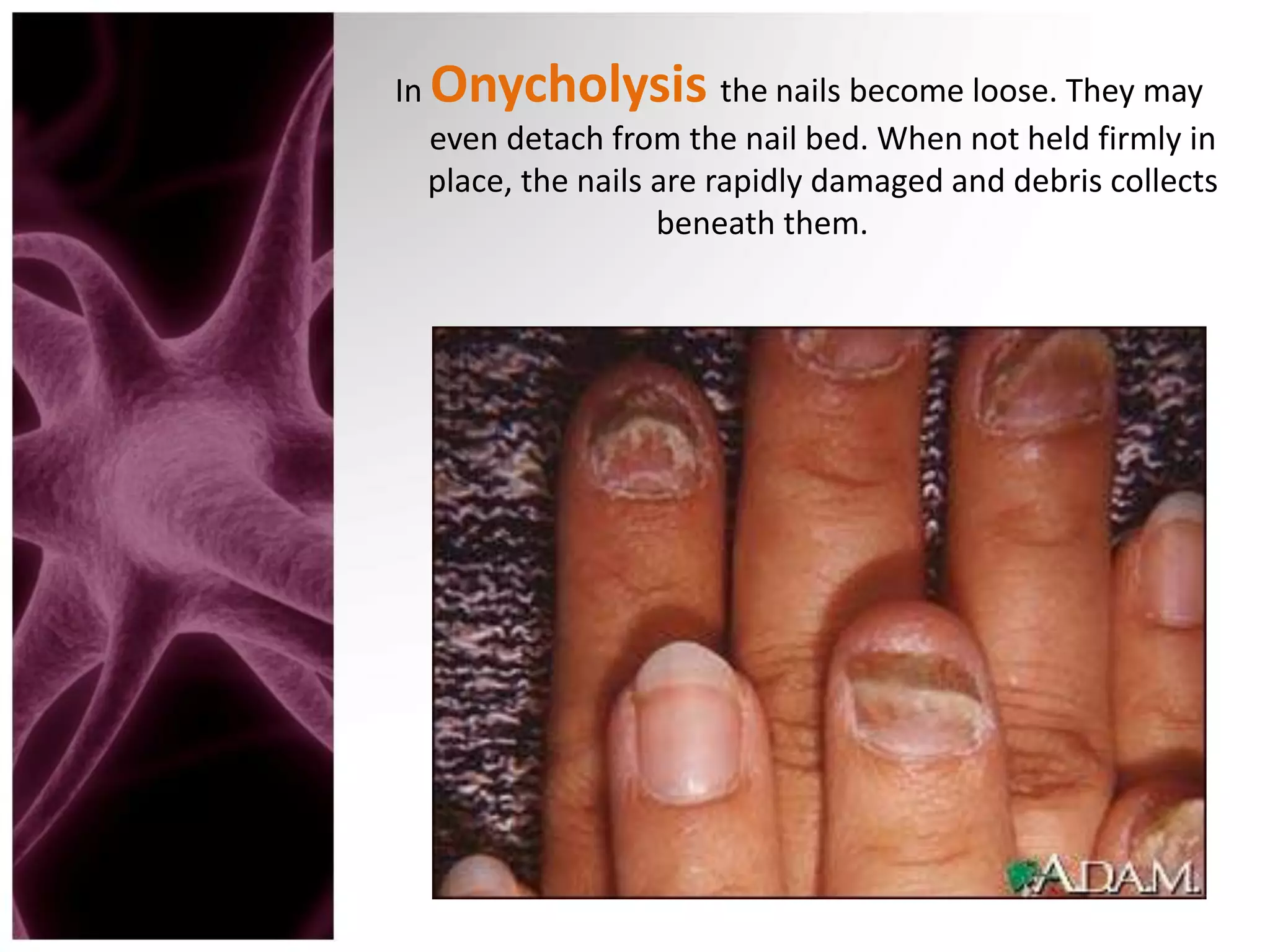 Assessing the skin | PPTX