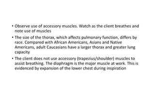 Assessing the Thorax and Lungs presentation | PPTX