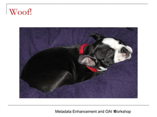Assessment of Metadata Remediation Efforts | PPT