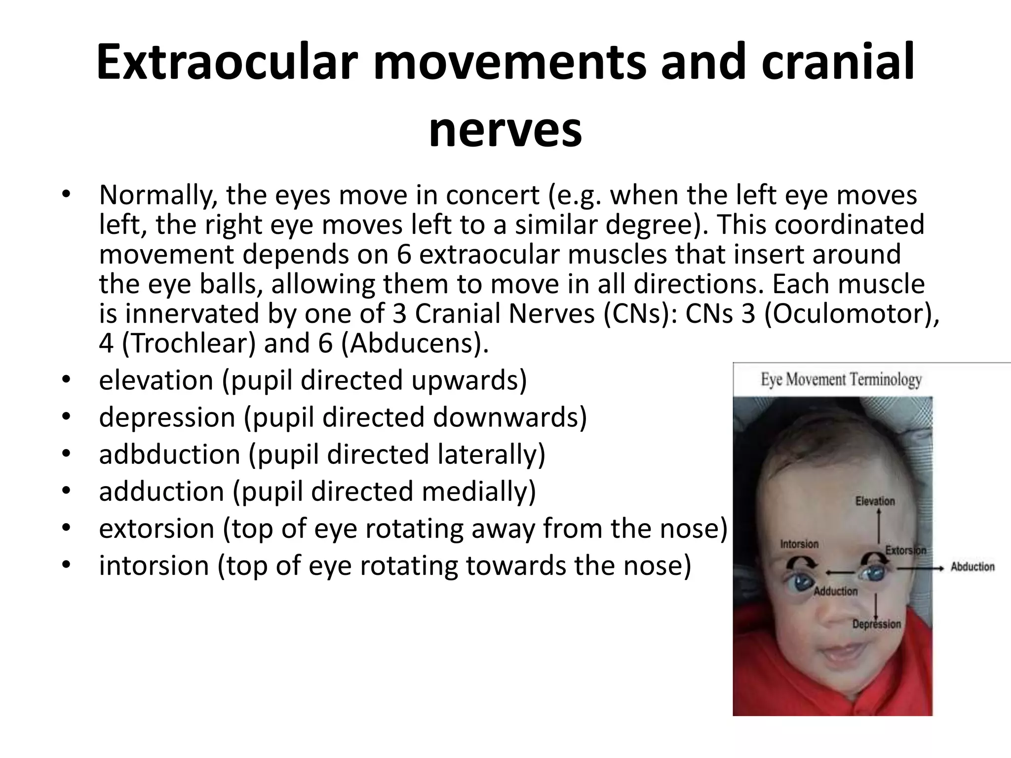 Assessment 191008083120 | PDF | Eye and Vision Conditions | Diseases ...