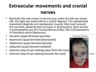 EYE Assessment | PPTX