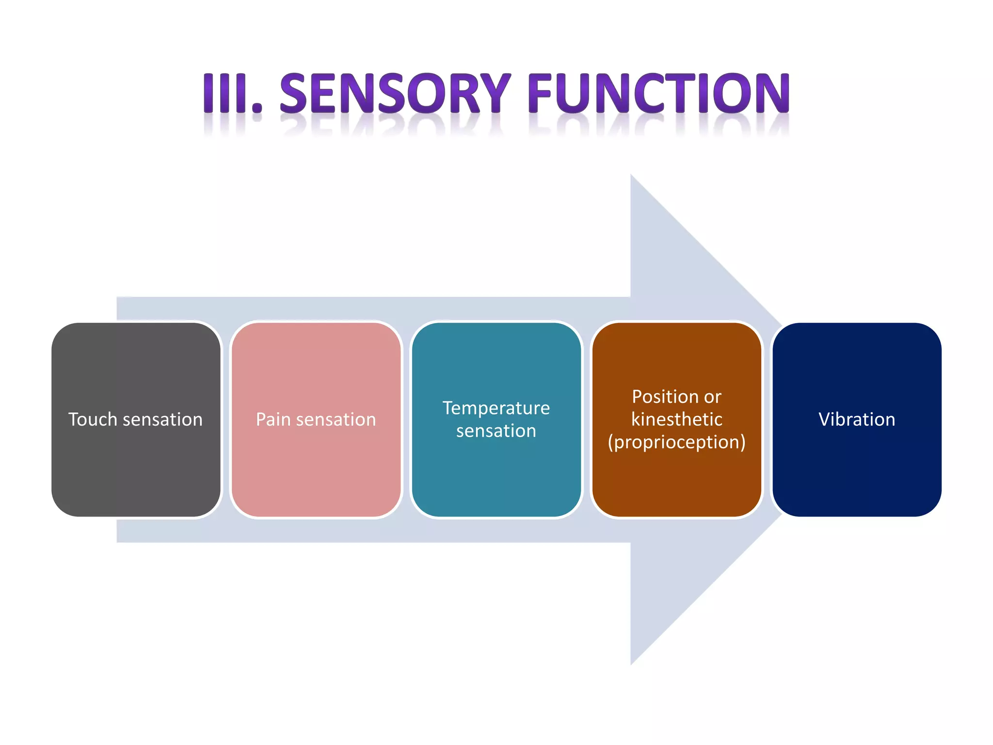 NEUROLOGICAL ASSESSMENT | PPTX