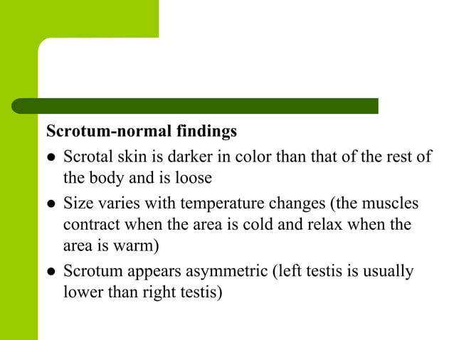 Assessment-MALE-Genitals-Rectum-1.pdf anatomy | PPT
