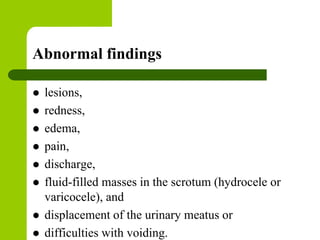 Assessment-MALE-Genitals-Rectum-1.pdf anatomy | PPT