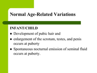 Assessment-MALE-Genitals-Rectum-1.pdf anatomy | PPT