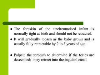 Assessment-MALE-Genitals-Rectum-1.pdf anatomy | PDF