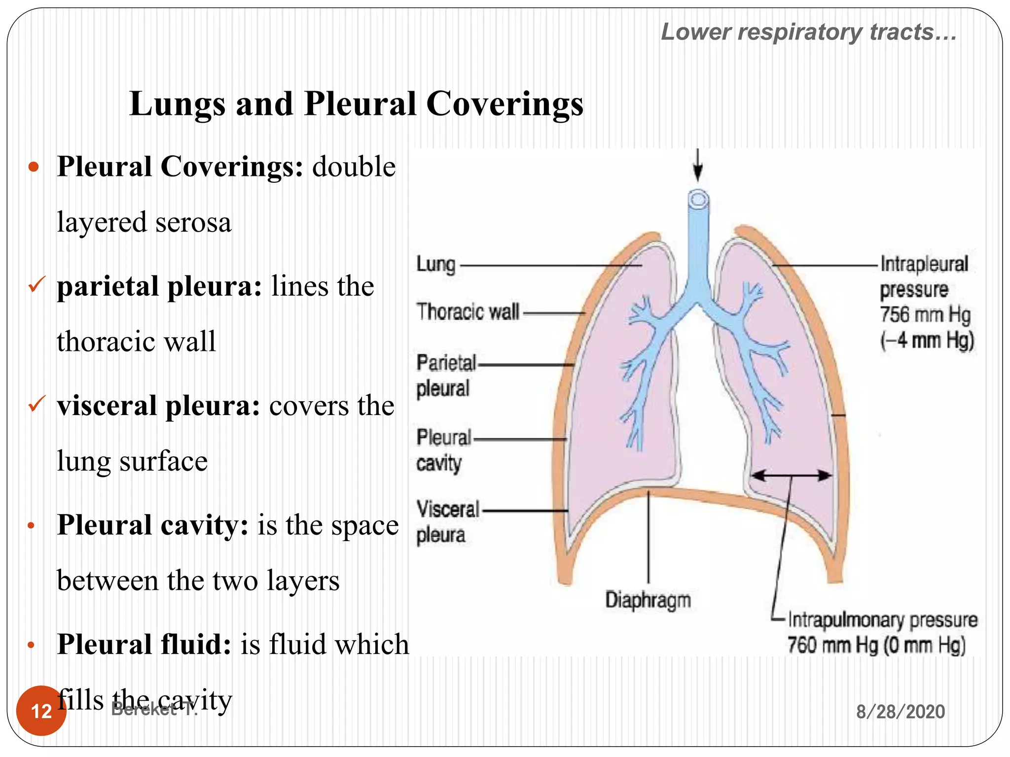 Assessment of-respiratory-system | PPT